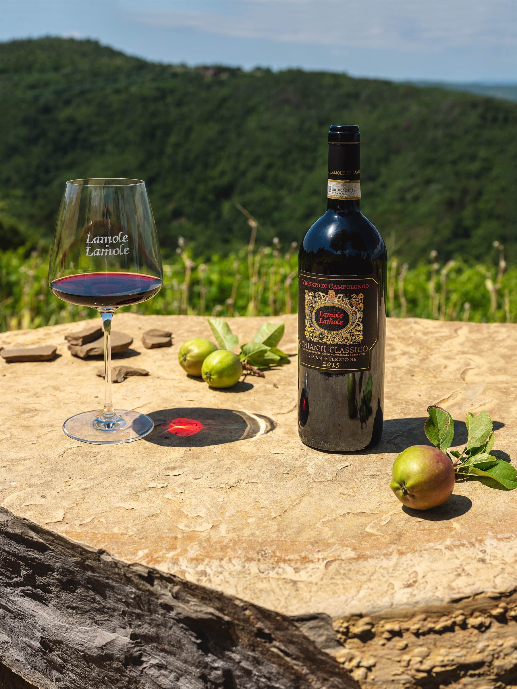 National Chianti Day - Lamole di Lamole Winery